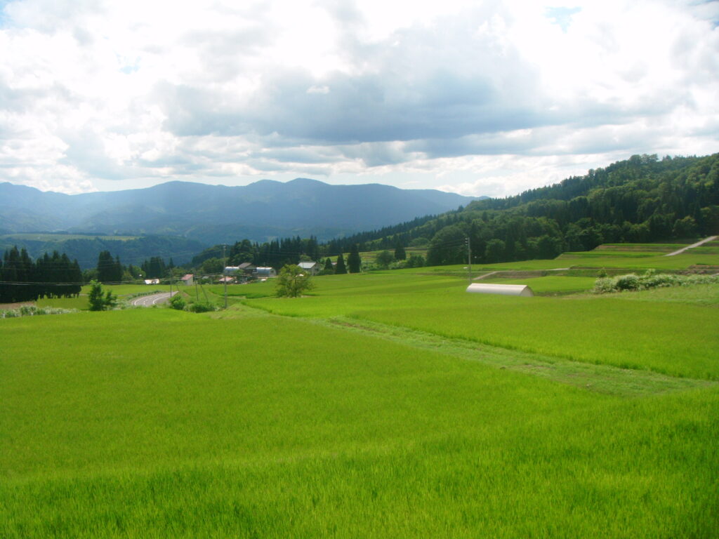 Socially Engaged Art in Japan: Mapping the Pioneers | FIELD