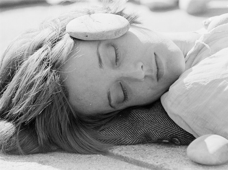 Helen and Newton Harrison – FIELD